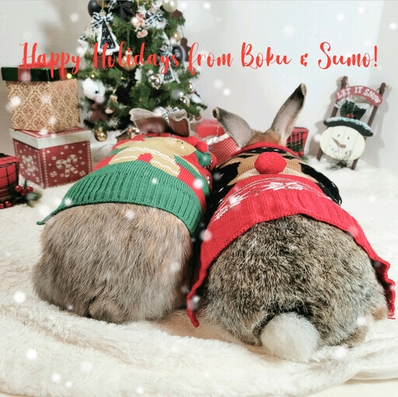 Gilded Rabbit | Holiday | Merry Christmas Happy Holidays From The Buns ...